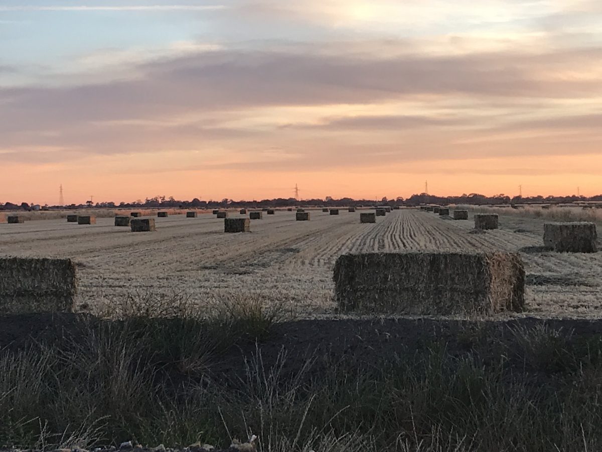 Hay Contracting & Sales - Bloomfield Hay & Transport