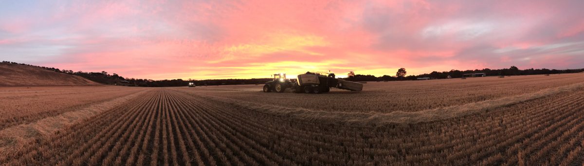 Hay Contracting & Sales - Bloomfield Hay & Transport