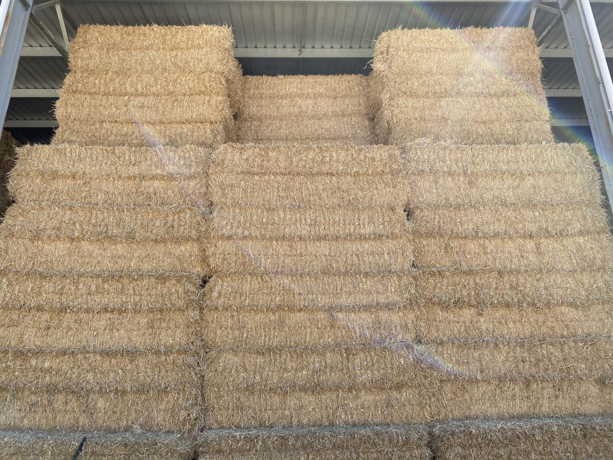 Hay Contracting & Sales - Bloomfield Hay & Transport