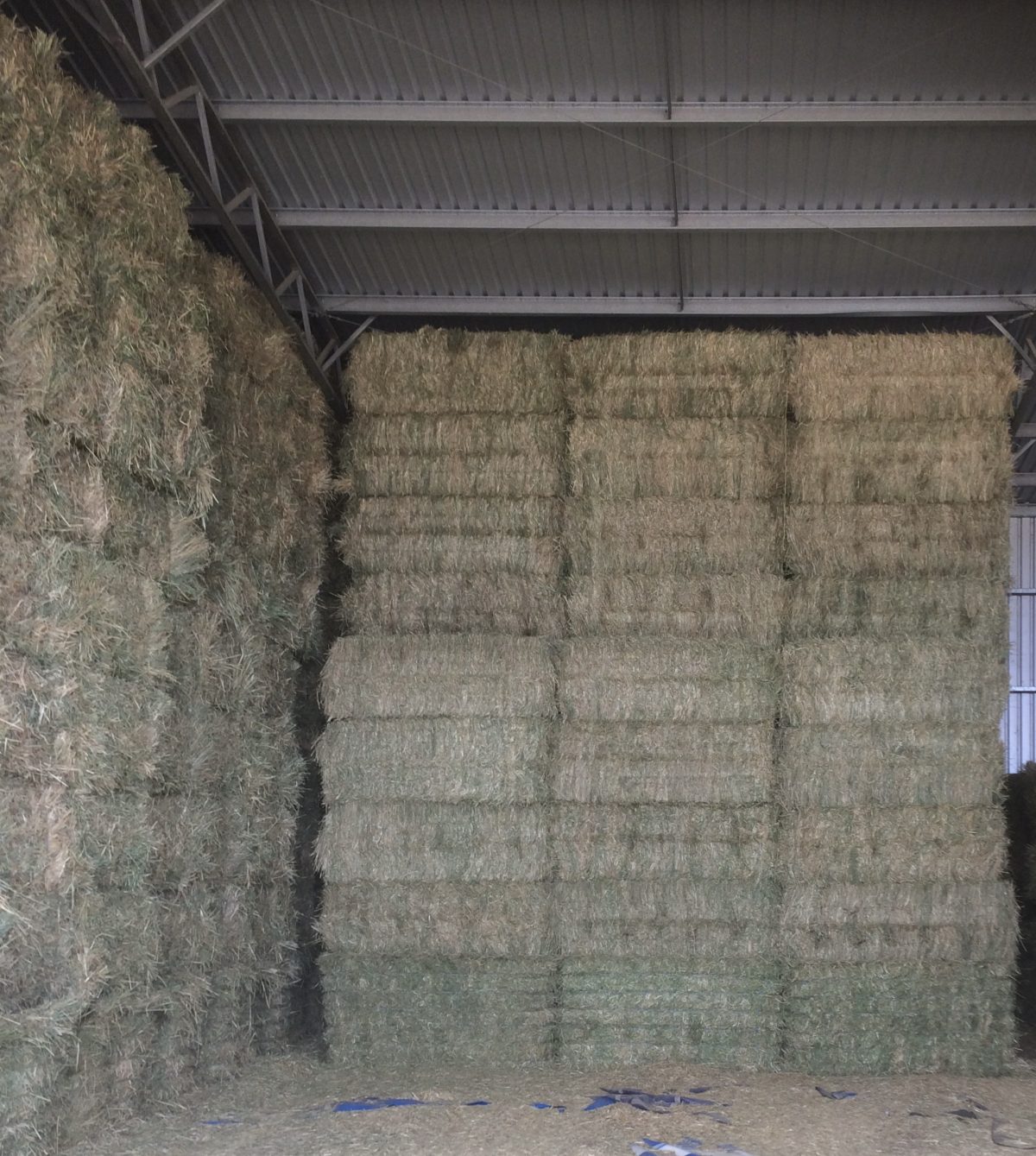 Hay Contracting & Sales - Bloomfield Hay & Transport