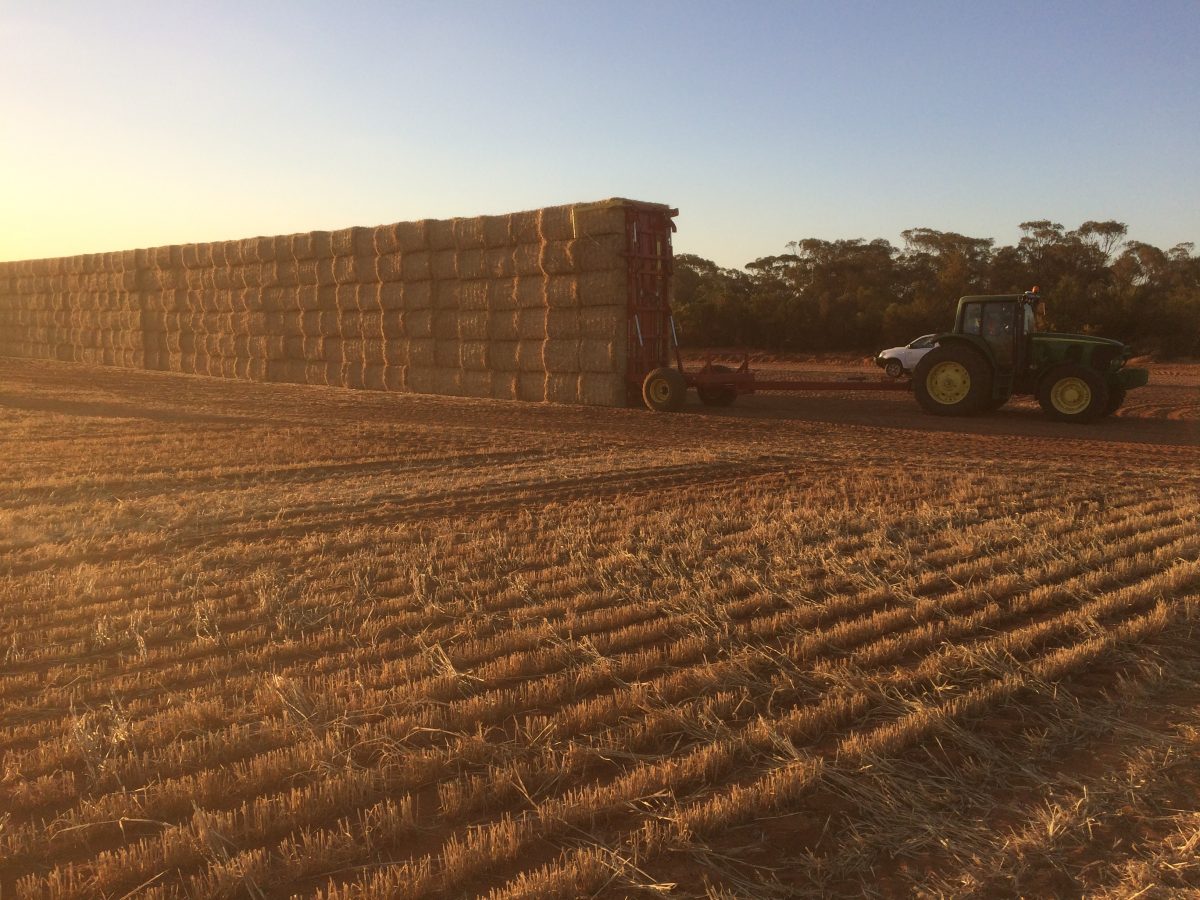Hay Contracting & Sales - Bloomfield Hay & Transport